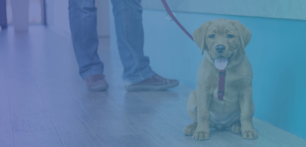 Contact Us - Slaton Veterinary Hospital