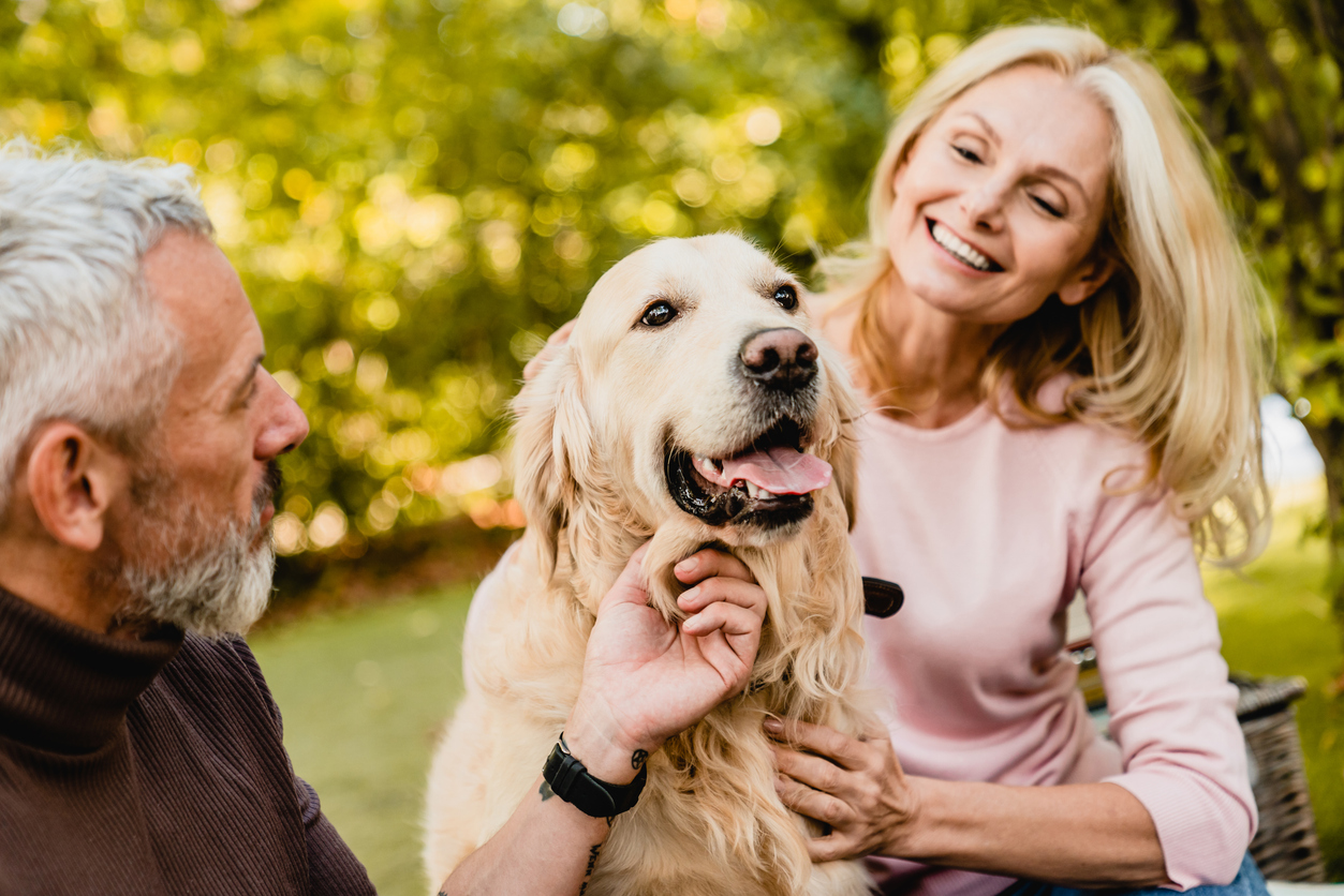 Senior Pet Care: Wellness & Pain Management - Slaton Veterinary Hospital